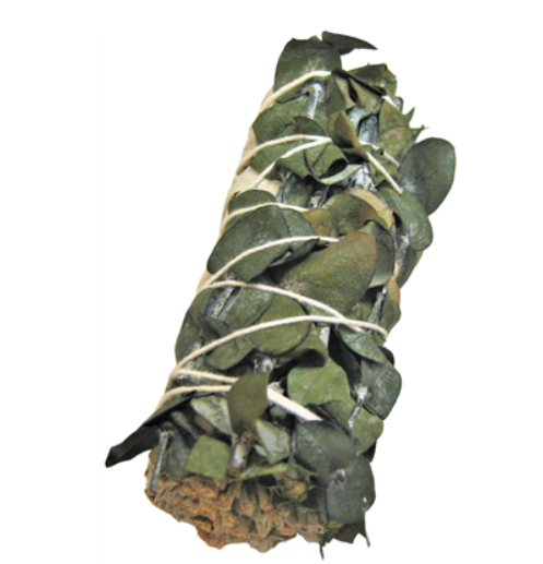White Sage & Green Eucalyptus Bundle – The Mystic Eye